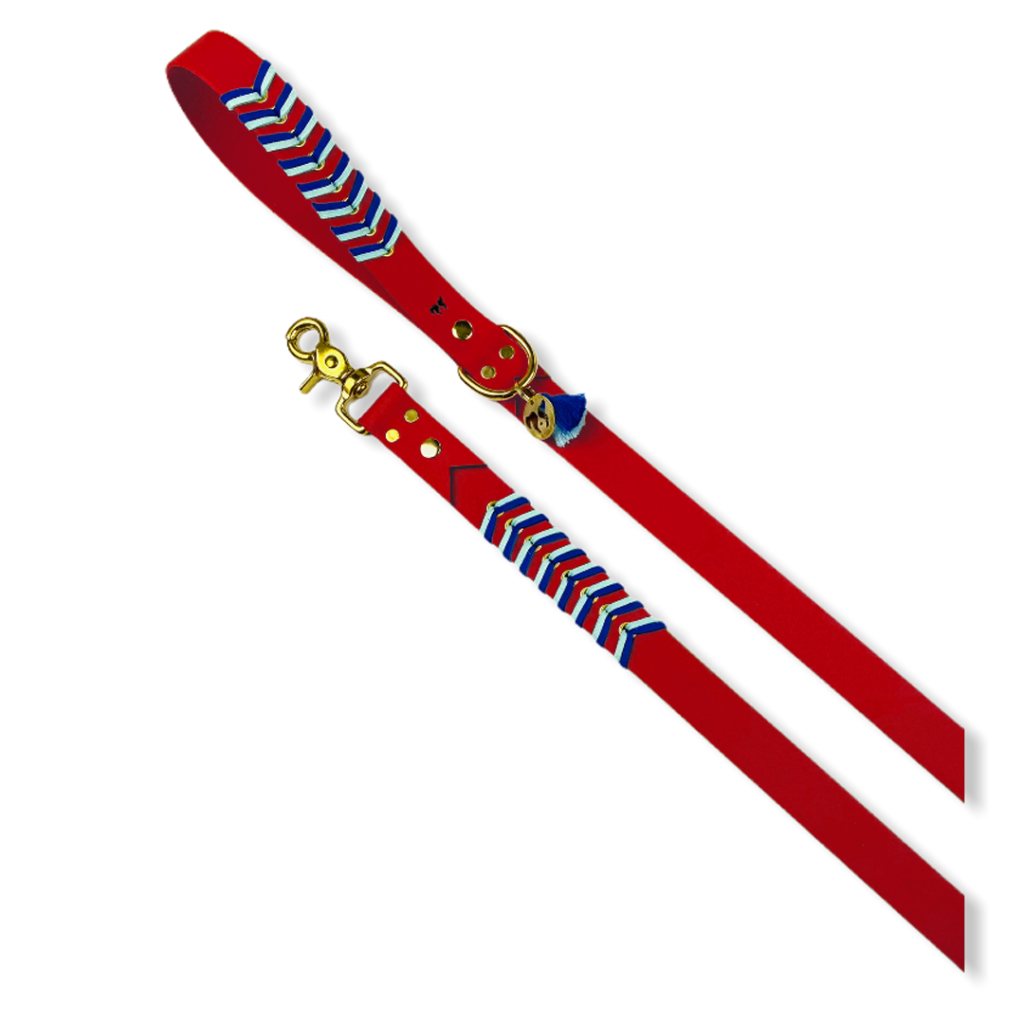 Apprentissage de la marche en laisse chez le chiot : Astuces