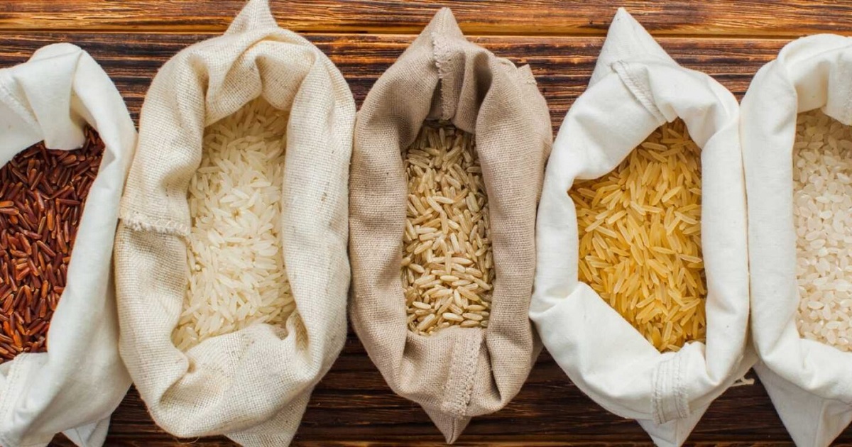 Quels bienfaits y a t-il à donner du riz à son chien